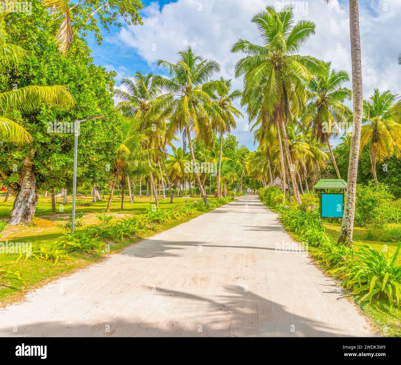 Road surrounded by palm trees in L'Union Estate Park. La Digue island ...