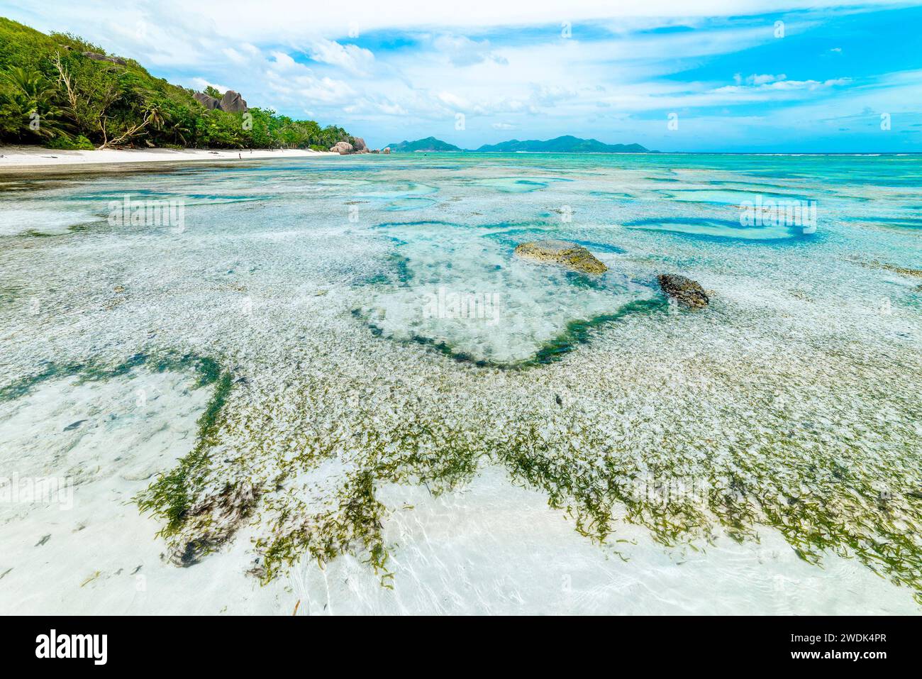 Coral reef by the shore in Anse Source d'Argent beach. La Digue island ...