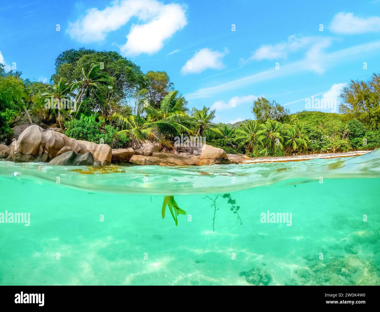 Split underwater view of Anse Severe beach. La Digue island, Seychelles ...