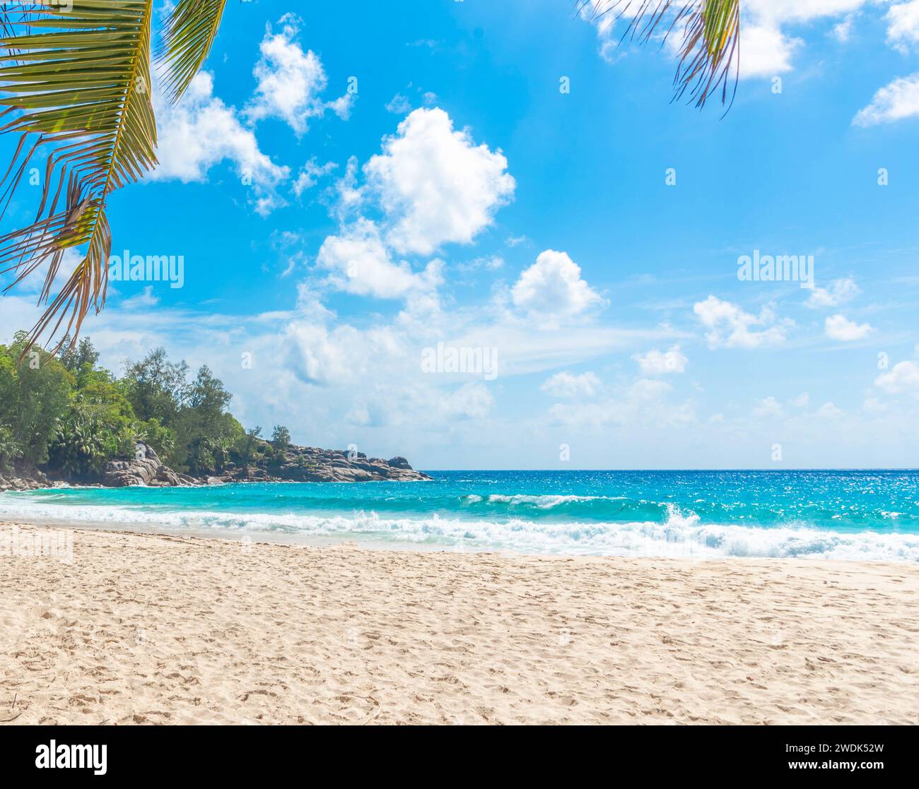Granite rocks and palm trees in Anse Intendance beach. Mahe island ...