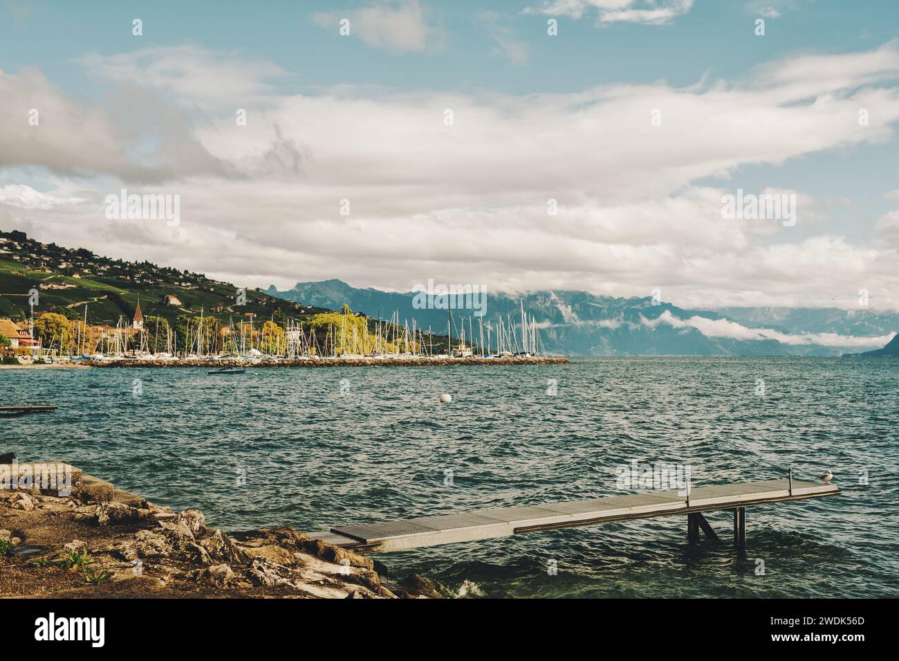 Summer landscape of Lake Geneva, Lavaux vineyards, Switzerland Stock ...