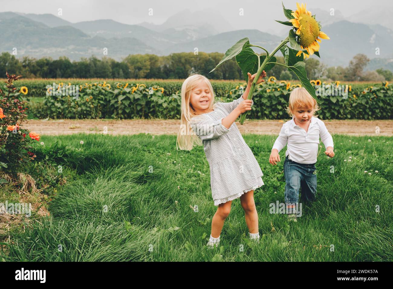 Group of 2 funny kids playing together in flower fields, vacation in ...