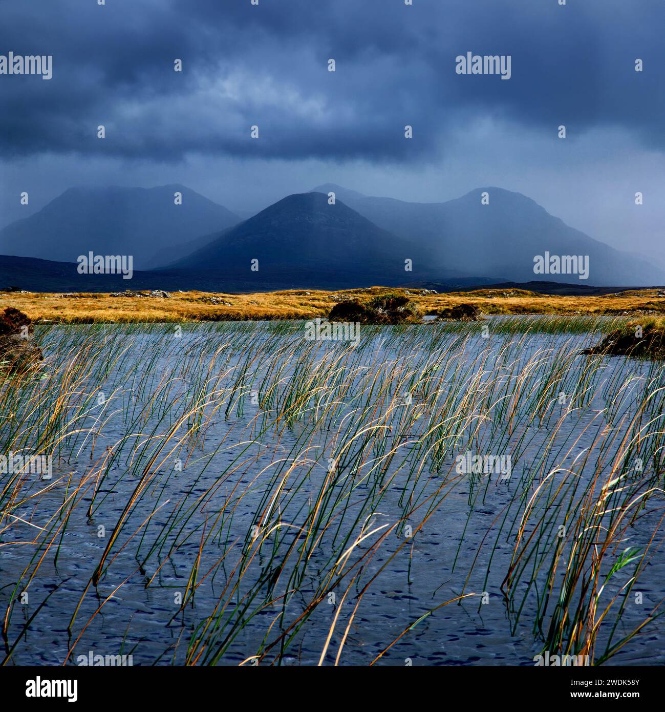 Roundstone Bog and the Twelve Bens, Connemara, County Galway, Ireland ...