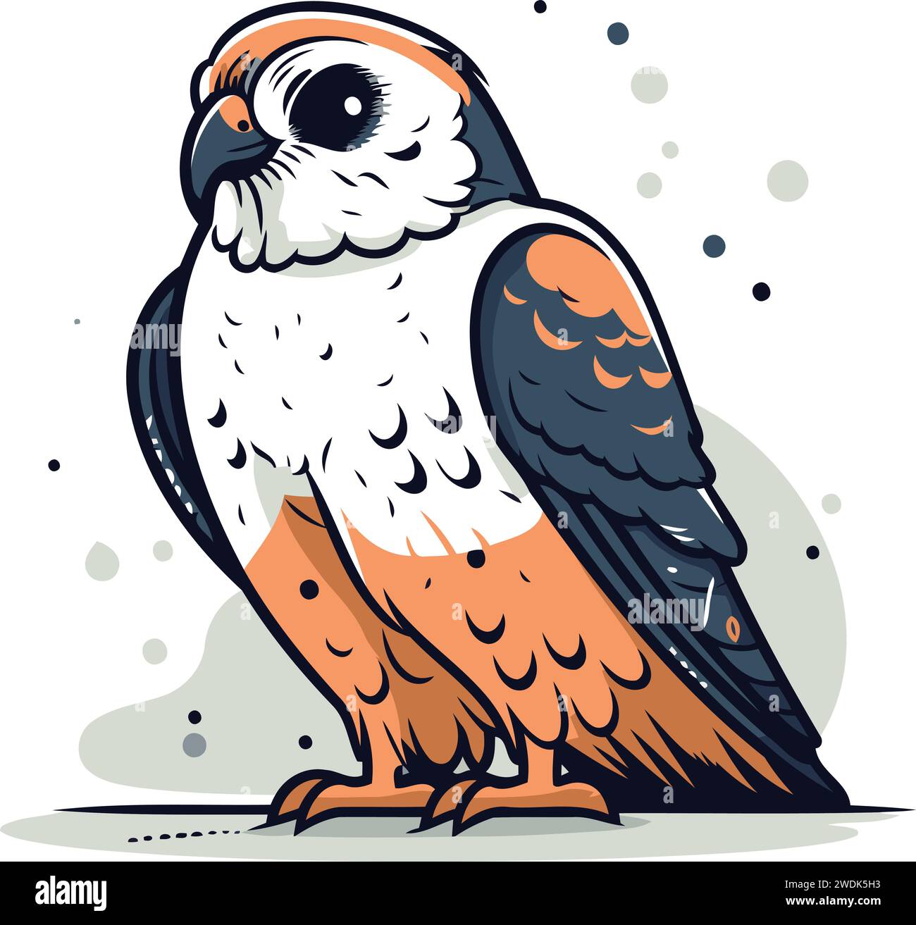 A hawk Stock Vector Images - Alamy