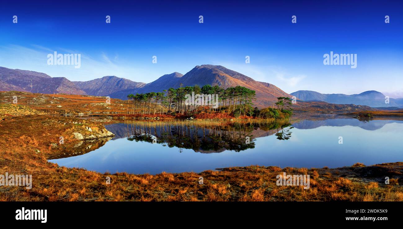 Pine Island on Derryclare Lake, Connemara, County Galway, Ireland Stock ...
