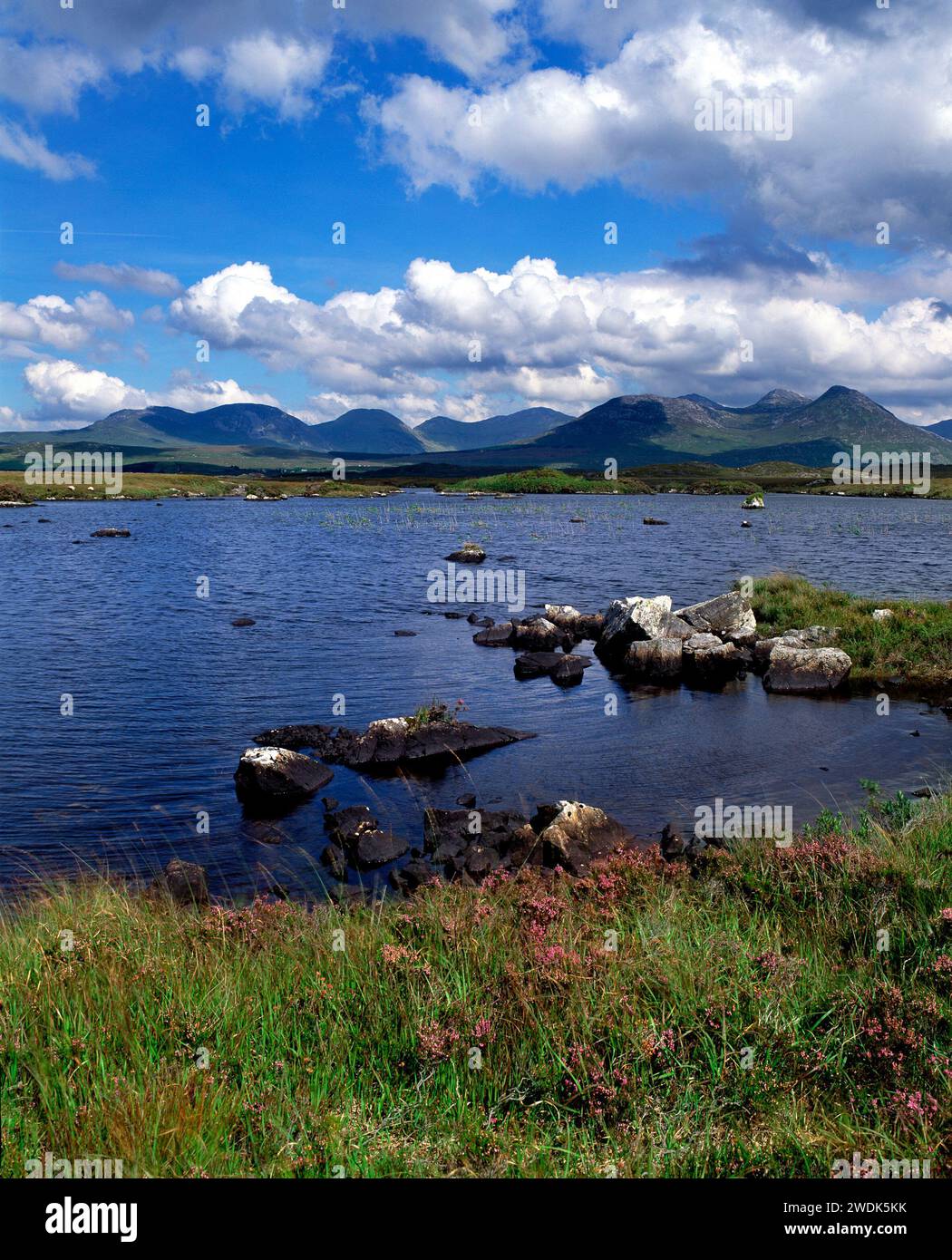 Roundstone Bog and the Twelve Bens, Connemara, County Galway, Ireland ...