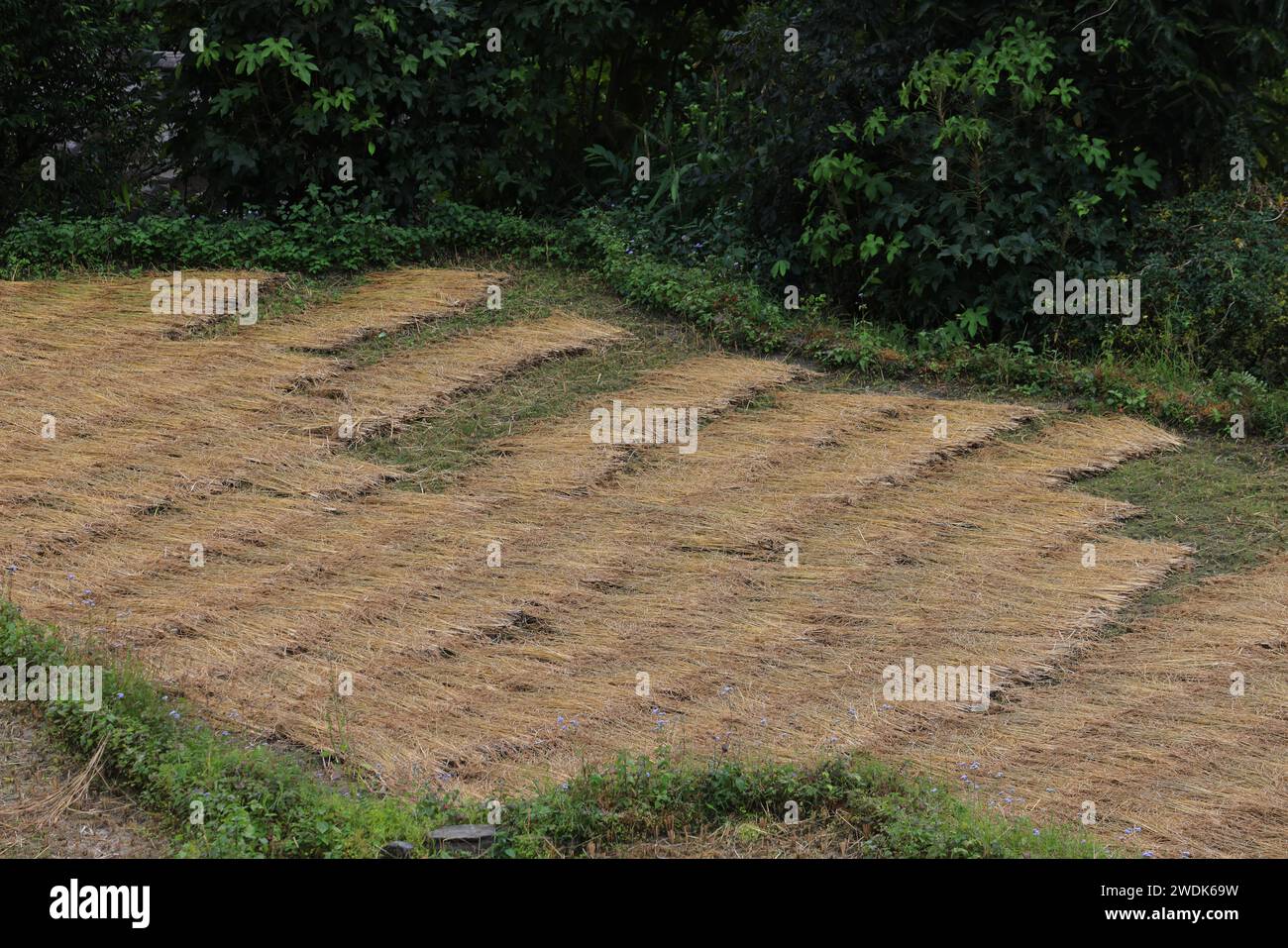 Birethanti nepal hi-res stock photography and images - Alamy