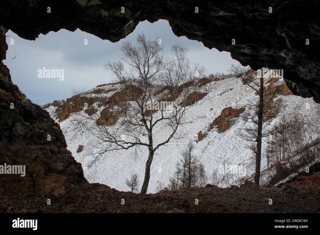 View from through cave on snowy mount with rocks and tree. Rock ...