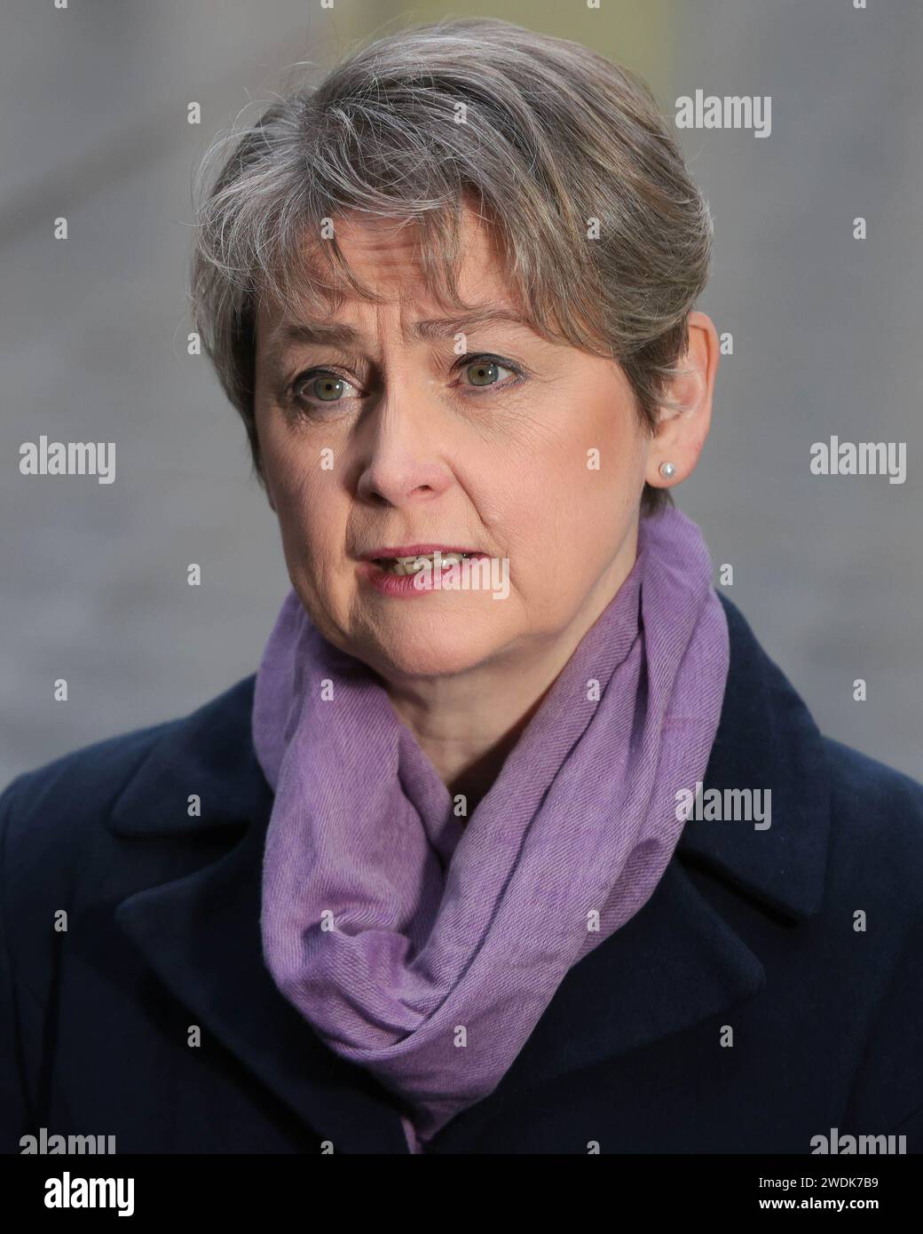 London, UK. 21st Jan, 2024. Image © Licensed to Parsons Media. 21/01 ...