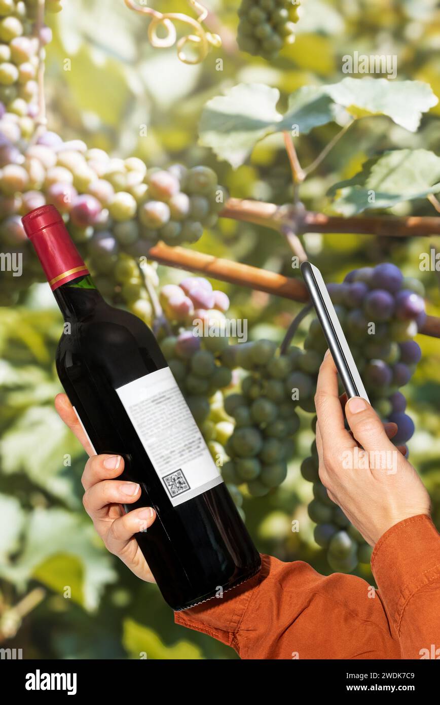 Scanning reading digital label on wine bottle Stock Photo - Alamy