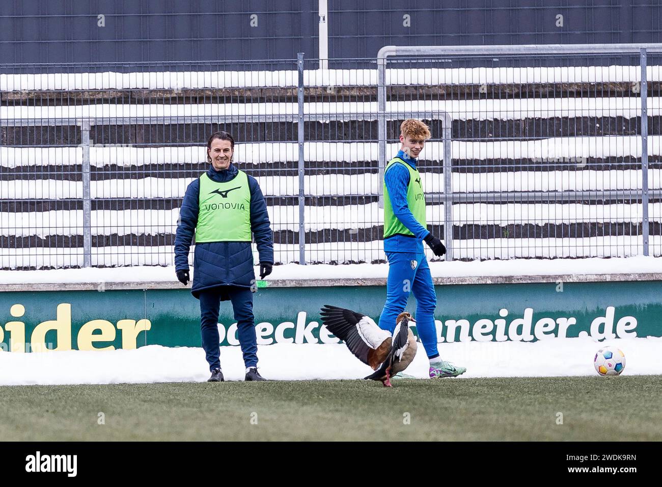 Tierischer Besuch - Lennart Koerdt (VfL Bochum, #42) lachend w?hrend eine Ente vor ihm landet ...