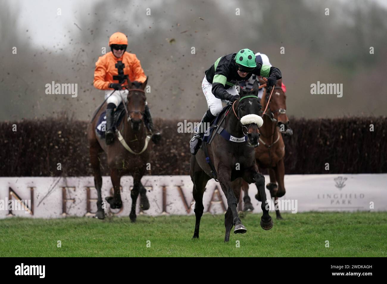 First flow lingfield hi-res stock photography and images - Alamy