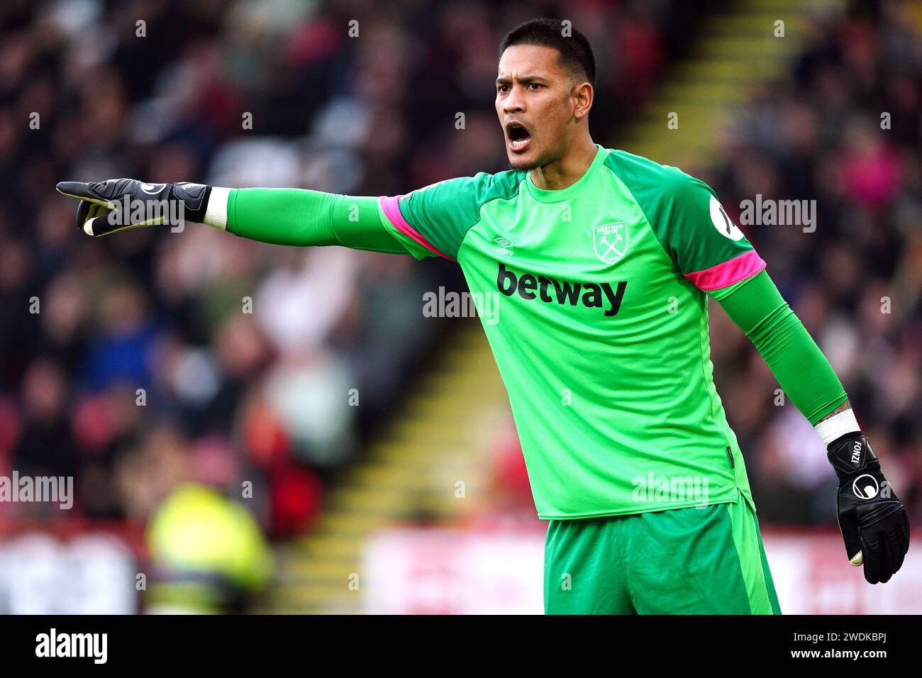 West Ham United goalkeeper Alphonse Areola during the Premier League ...
