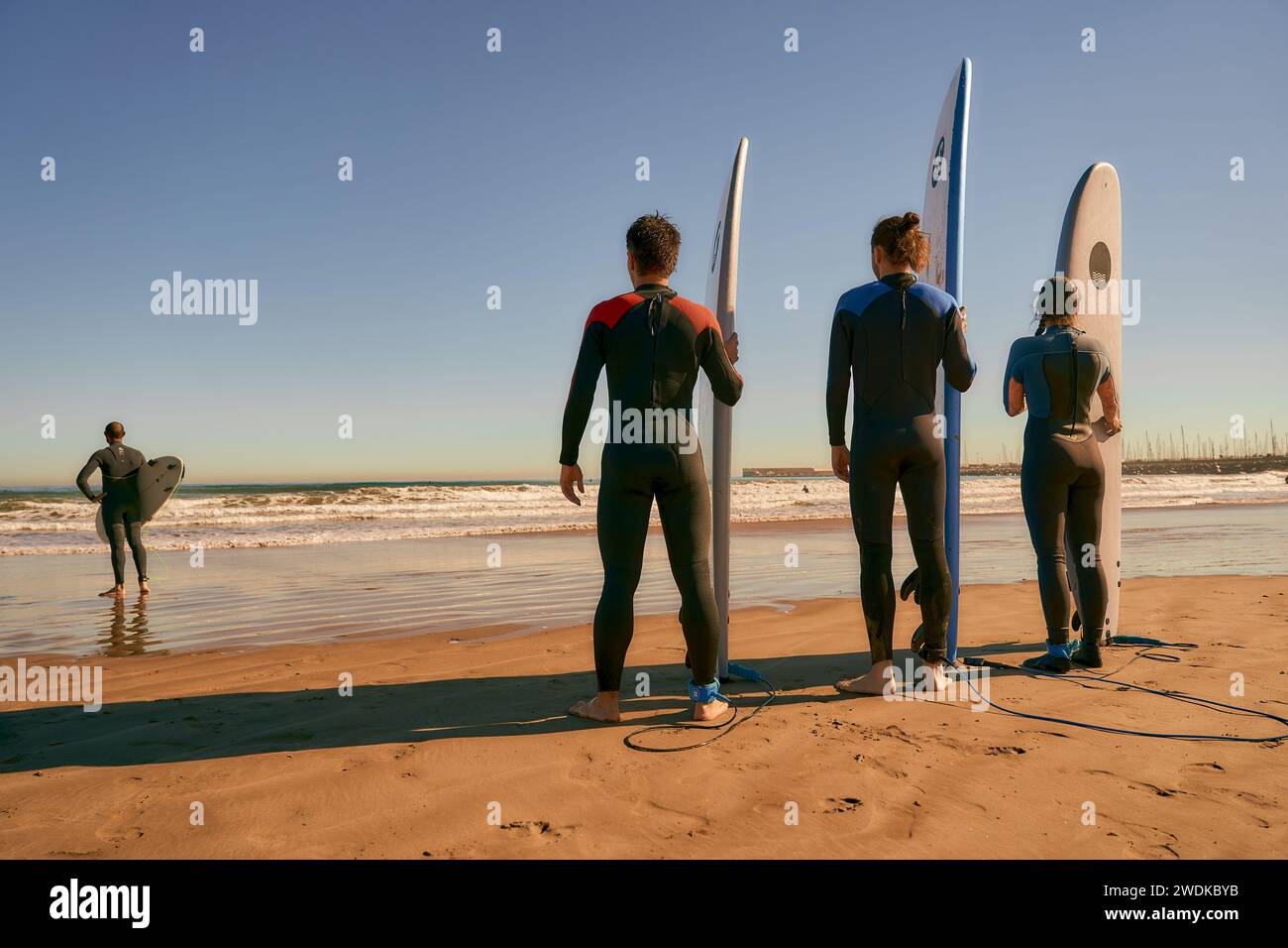 Back view of surfers in wetsuits standing with surfboards and looking ...