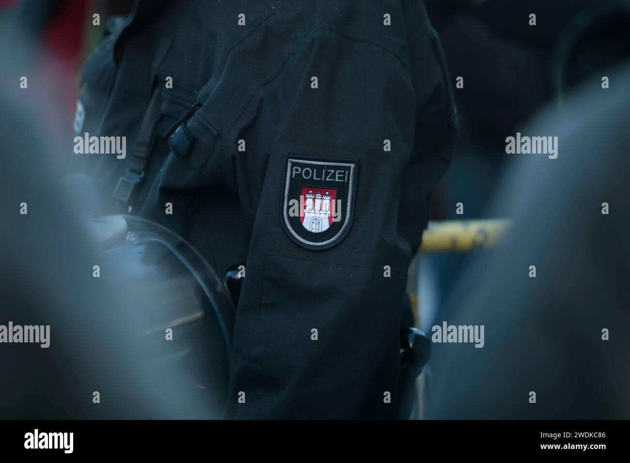 Hamburg, Germany - 01 19 2024, "Hamburg steht auf!" ("Hamburg stands up ...