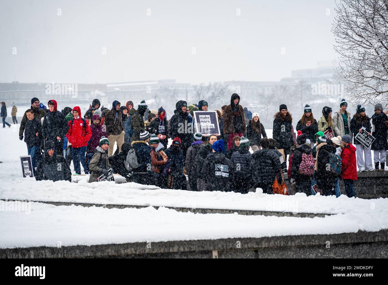 Washington, DC — January 19, 2024. A photo of activists holding signs ...