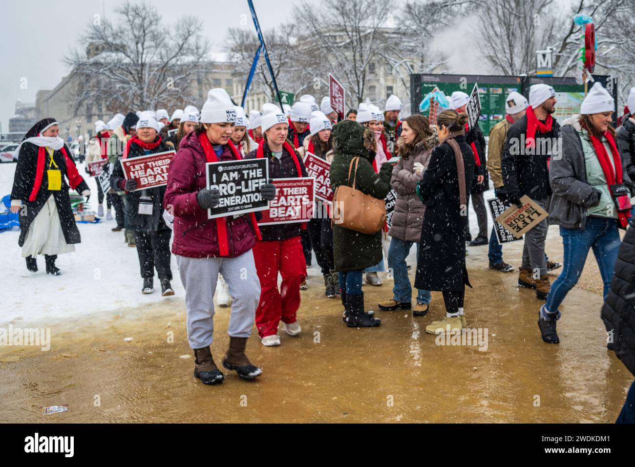 Washington, DC -- January 19, 2024. Marchers brave the snow for the ...