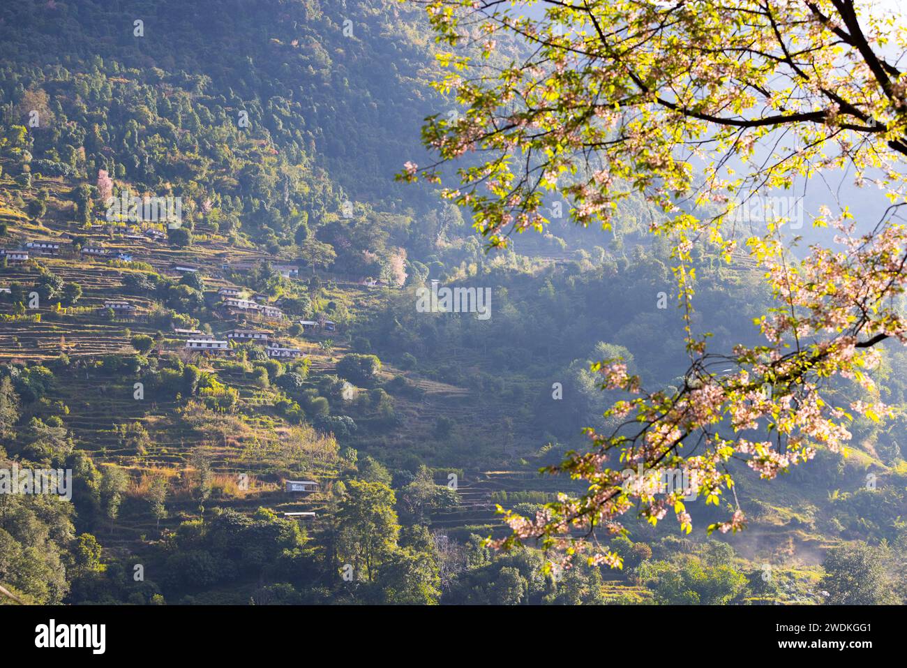the valley and village of Birethanti in Nepal, view of Poonhill circle ...