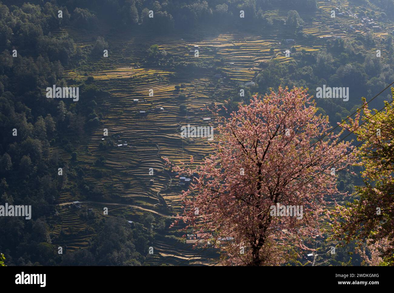 the valley and village of Birethanti in Nepal, view of Poonhill circle ...