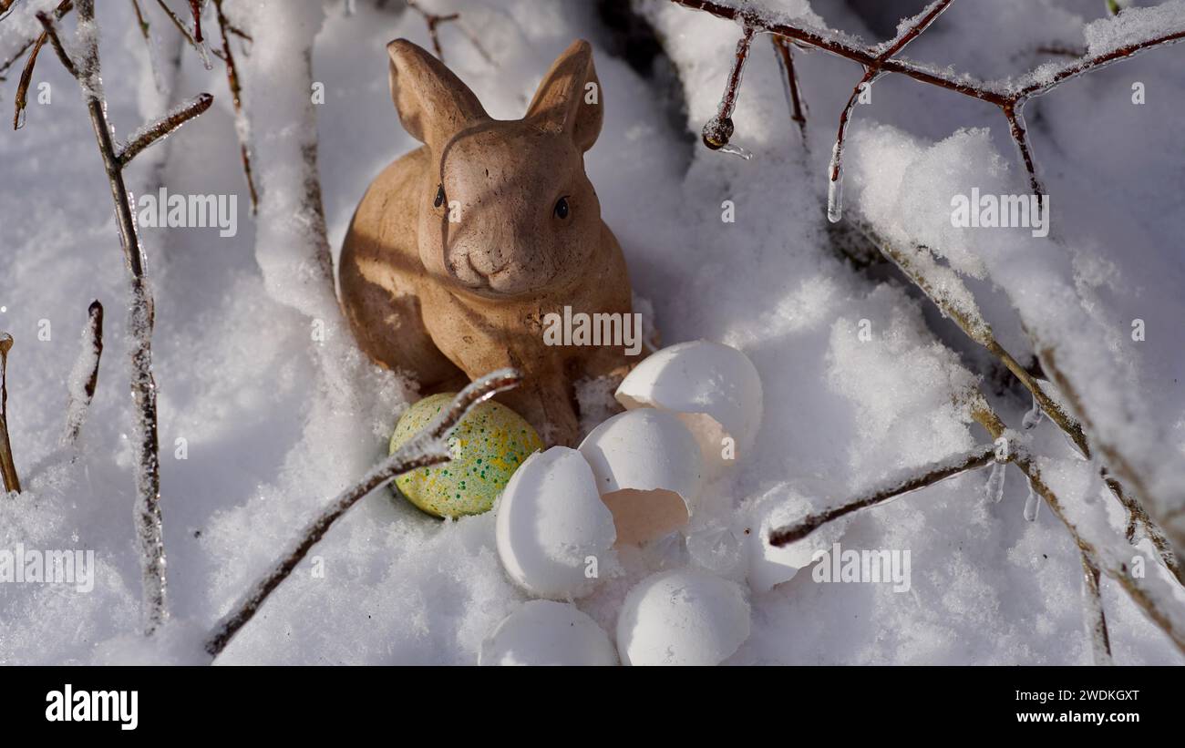 Easter bunny in the sun hi-res stock photography and images - Alamy