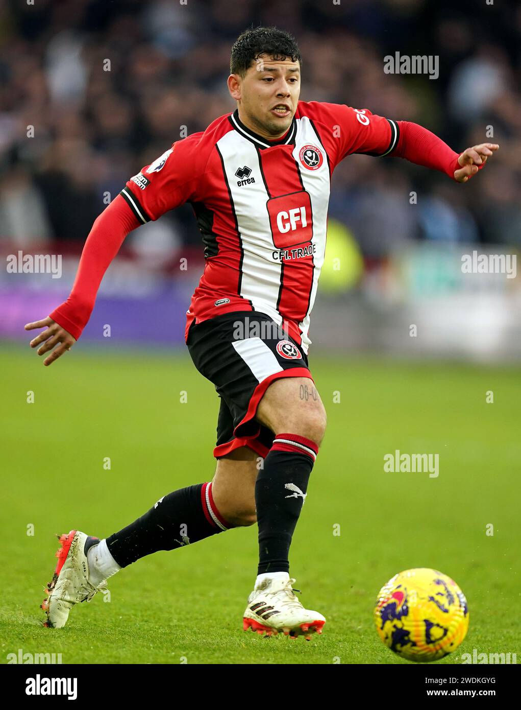 Sheffield United's Gustavo Hamer in action during the Premier League ...
