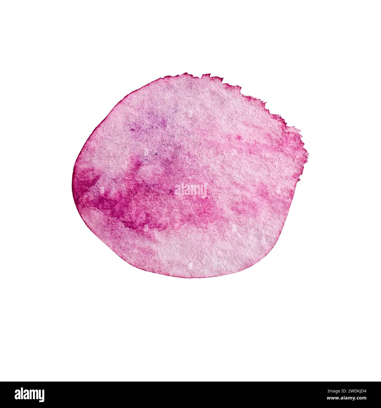 Round pink watercolor splash spot. Hand painted isolated on white ...