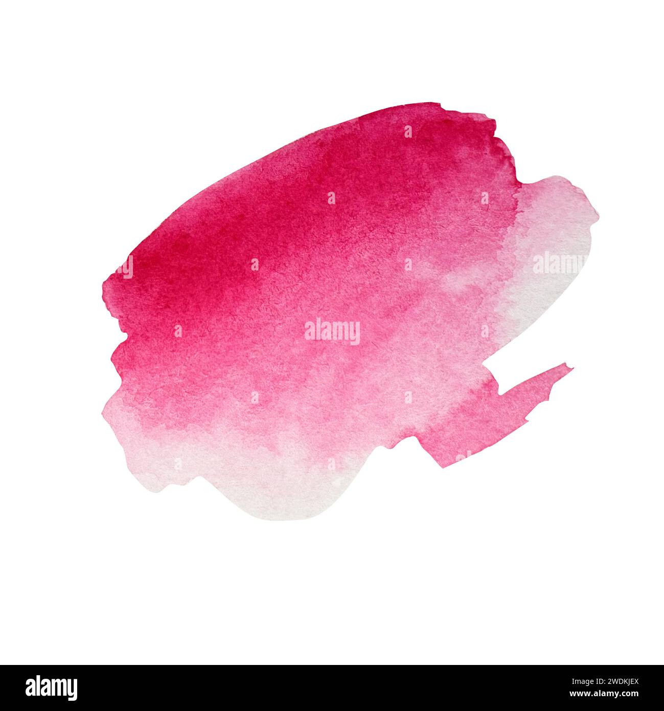 Grunge pink watercolor splash spot. Hand painted isolated on white ...