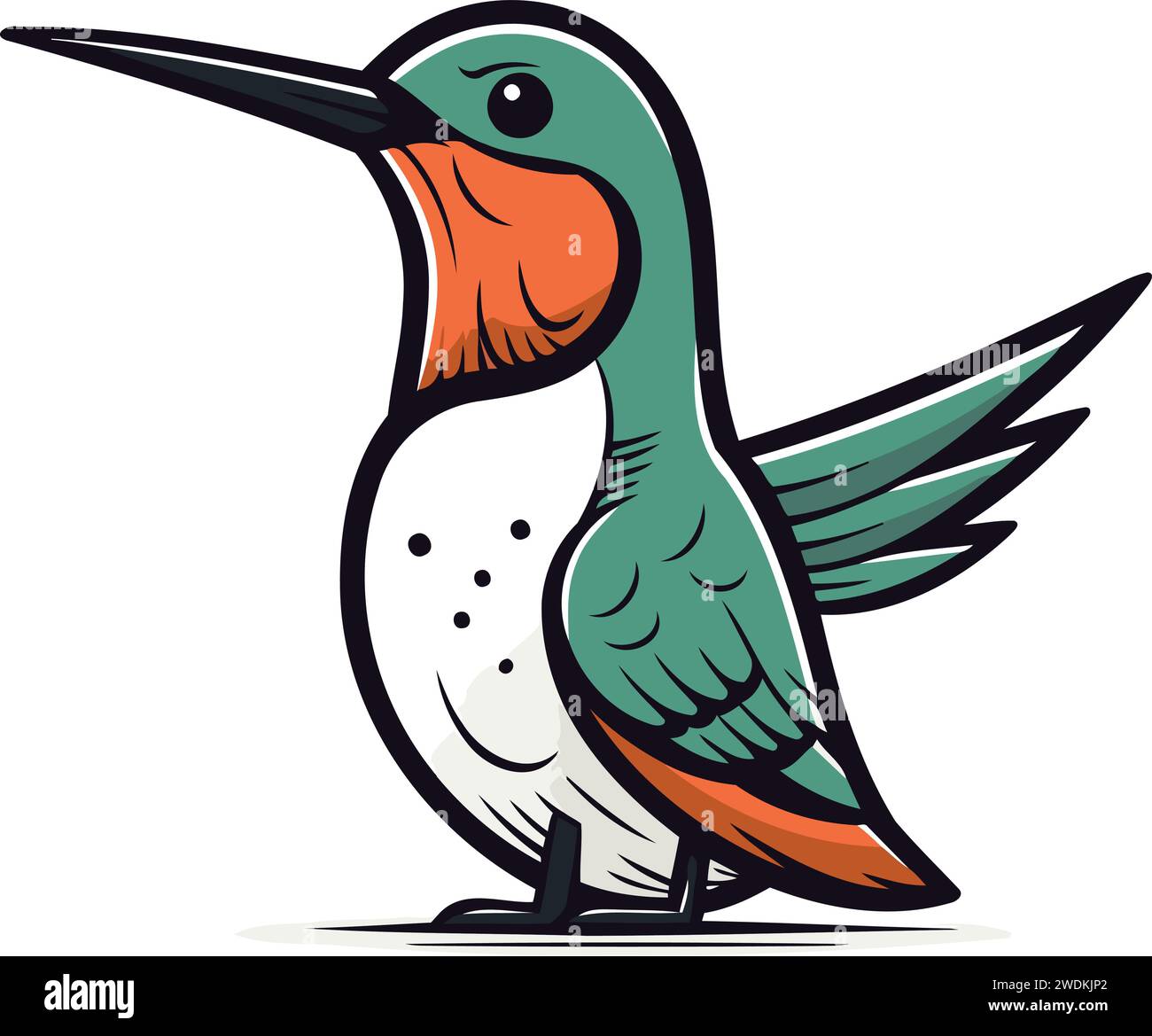 Hummingbird species Stock Vector Images - Alamy