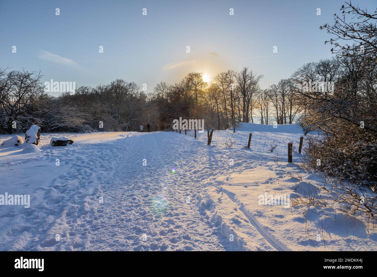 An idyllic scene in the Dutch forests in the rolling hills landscape in ...