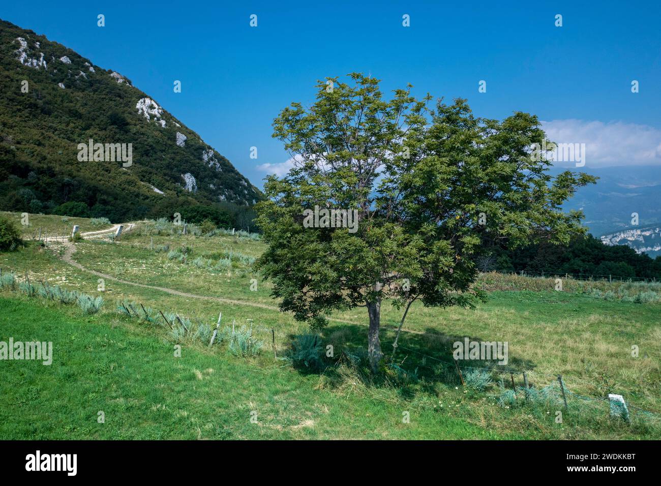 Lessinia regional nature park hi-res stock photography and images - Alamy