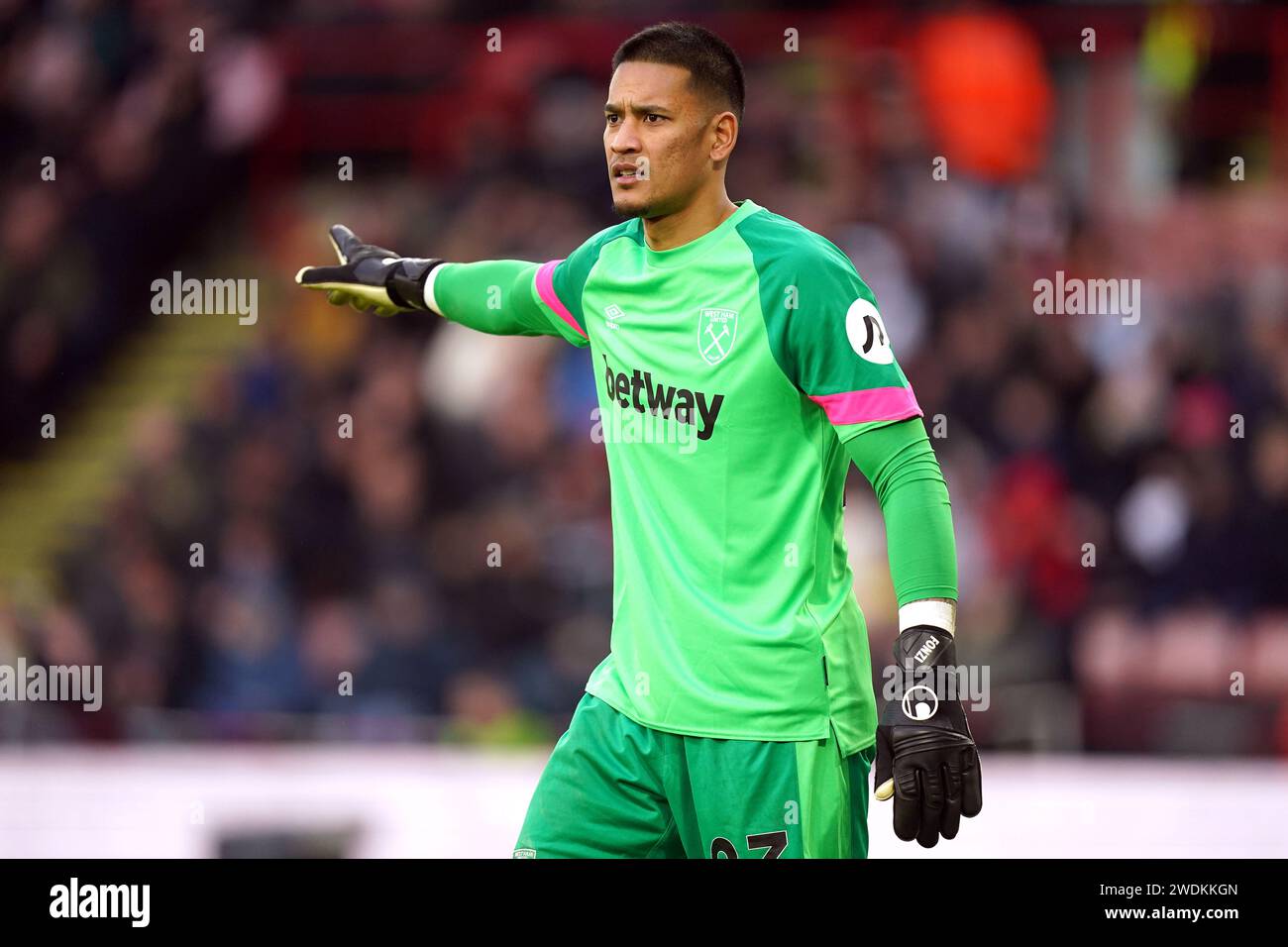 West Ham United goalkeeper Alphonse Areola during the Premier League ...
