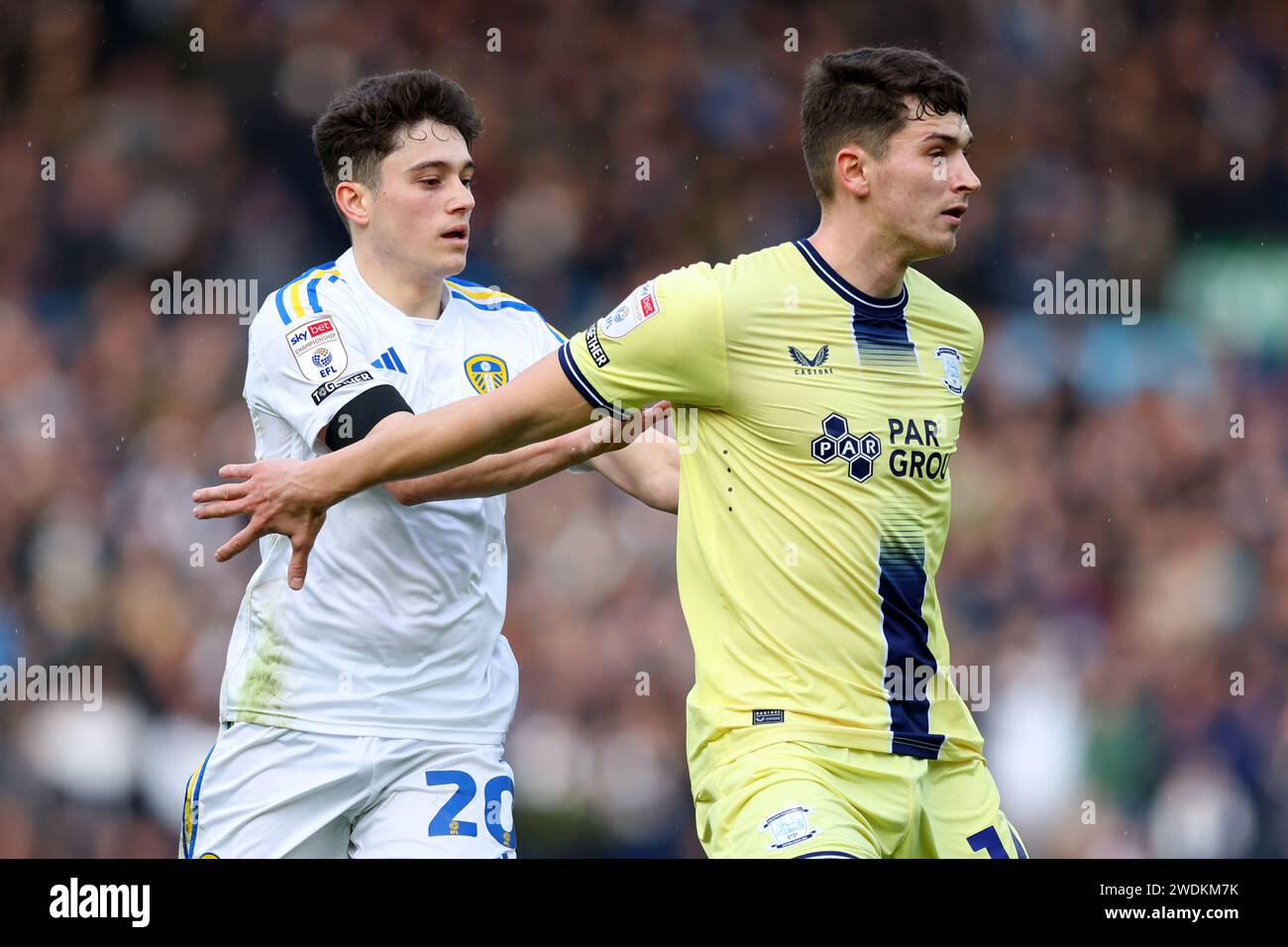 Jordan storey preston hi-res stock photography and images - Alamy