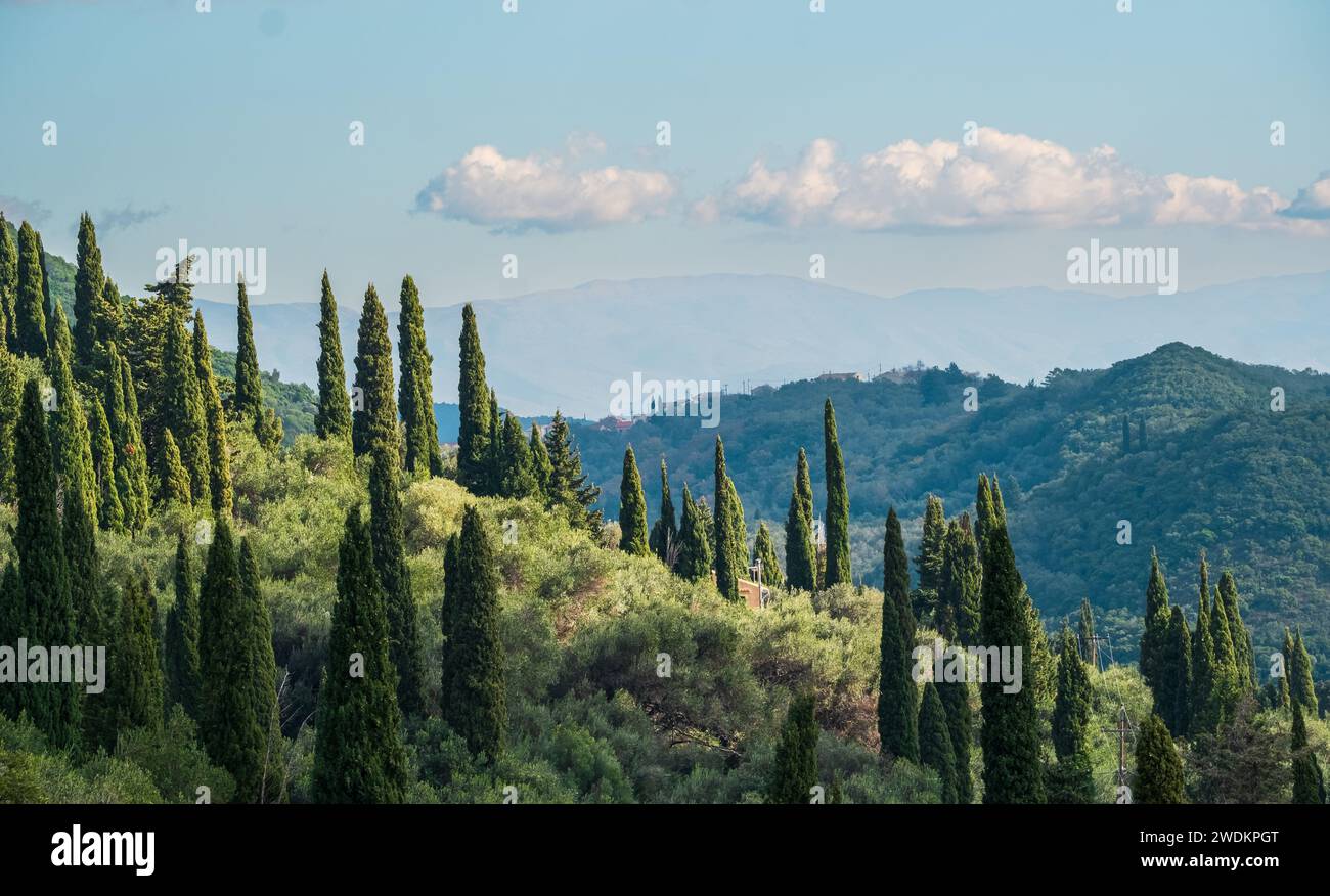 Greece forest hi-res stock photography and images - Alamy