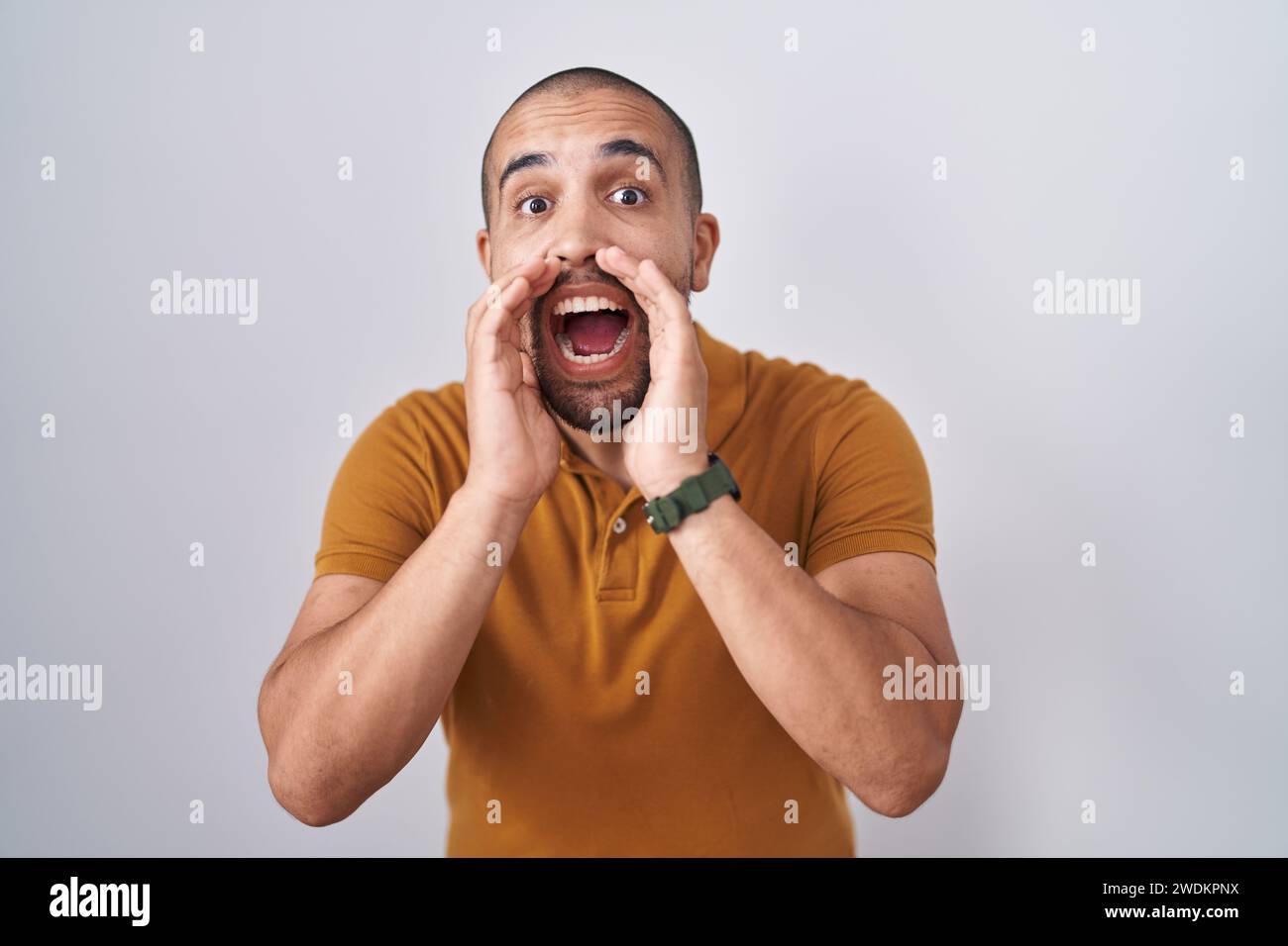 Hispanic man with beard standing over white background shouting angry ...