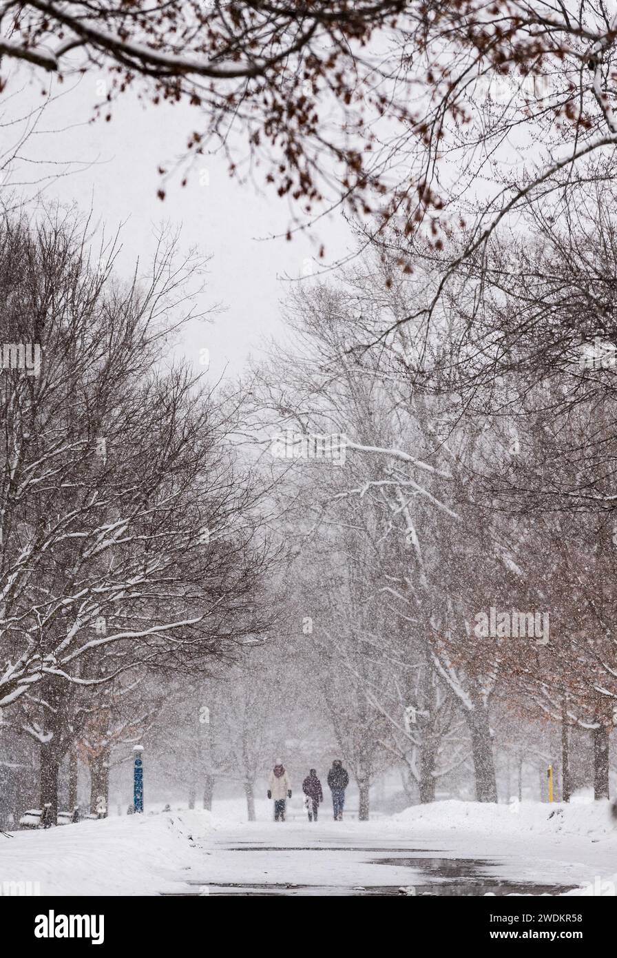 Heavy snow squalls of lake-effect snow falls over Springbank Park in ...