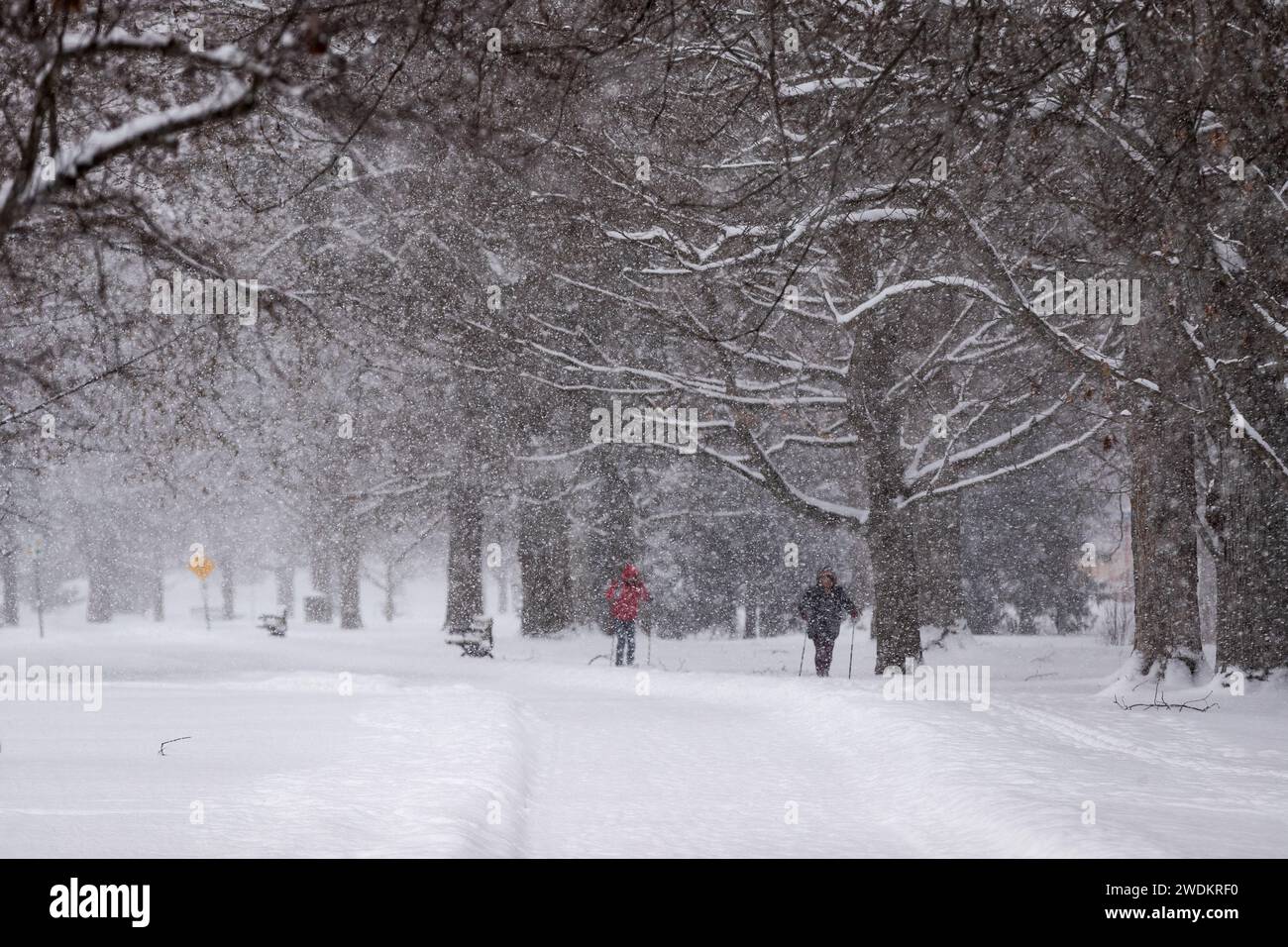 Heavy snow squalls of lake-effect snow falls over Springbank Park in ...