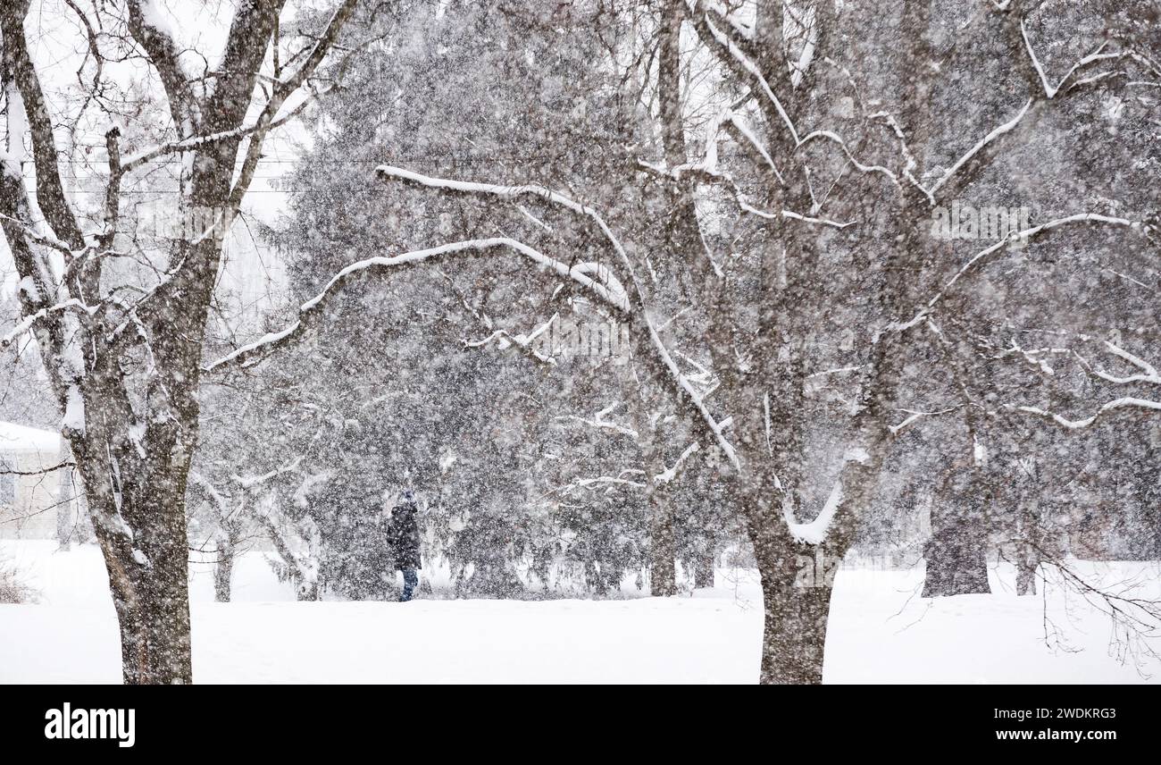 Heavy snow squalls of lake-effect snow falls over Springbank Park in ...