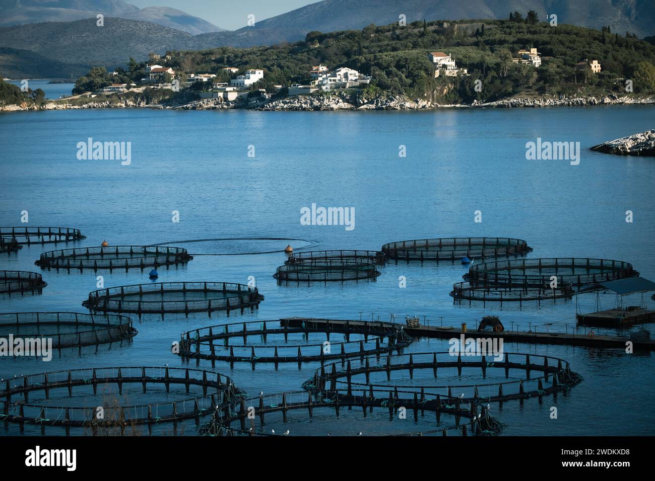 Fishprotein hi-res stock photography and images - Alamy