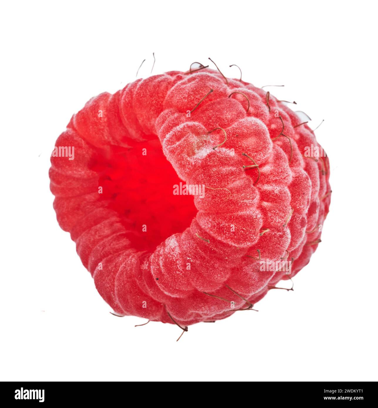 Delicious single raspberry over isolated white background Stock Photo ...