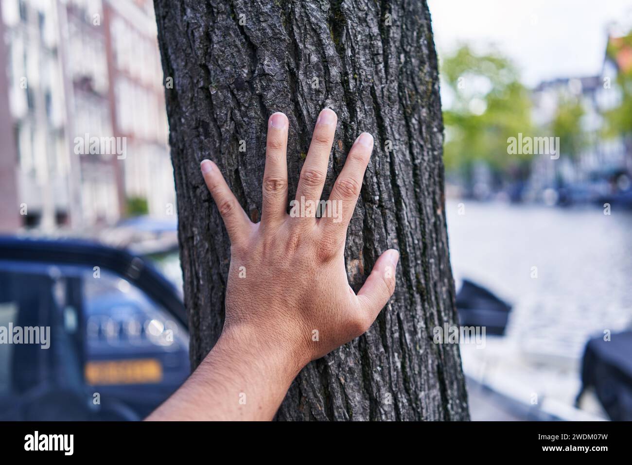 A man's hand gently touches a tree trunk on a vibrant city street ...