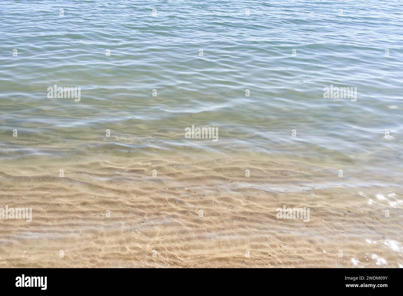 Clear waters gently lap the sandy shores of a tranquil beach, absent of ...