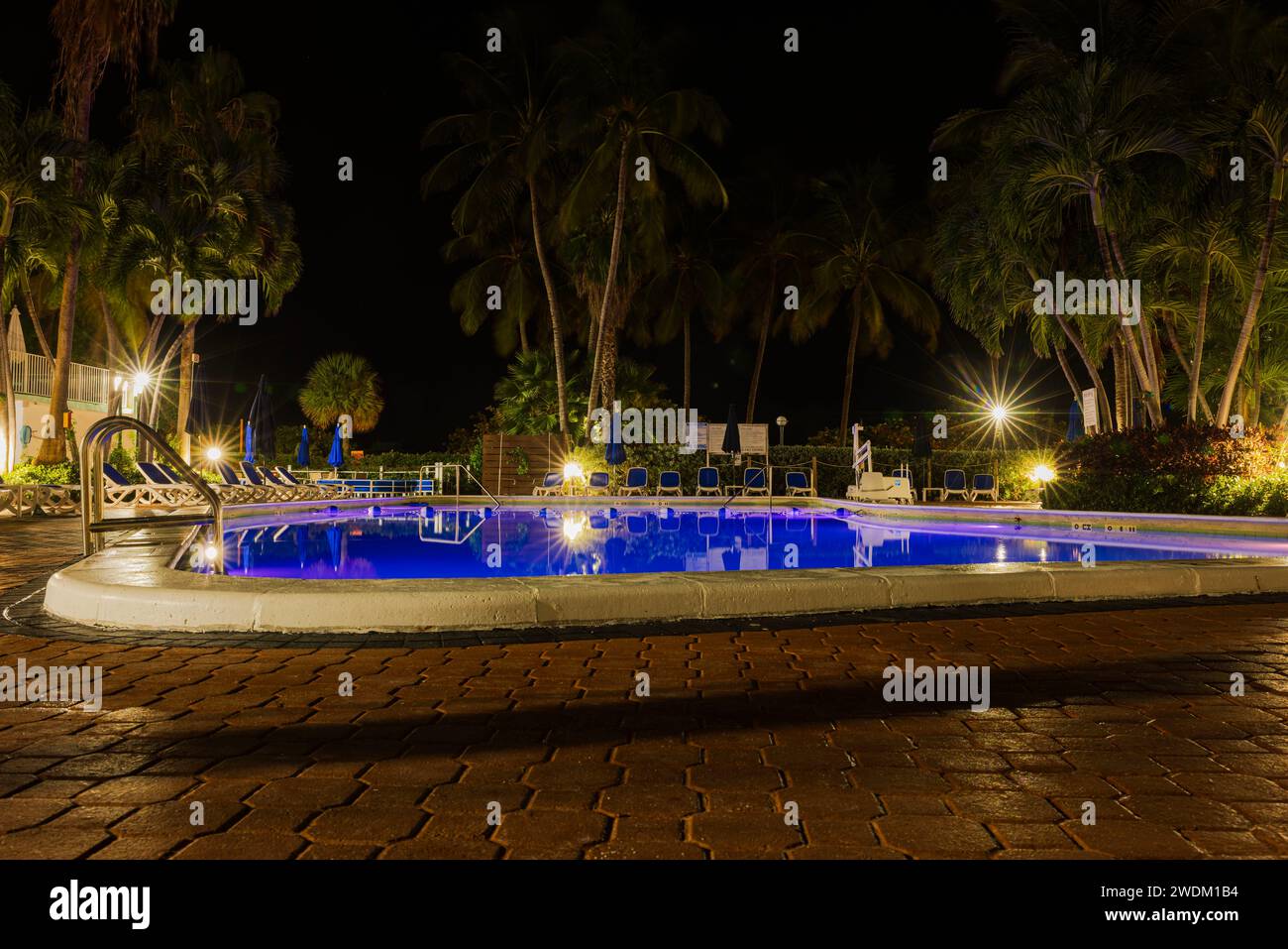Beautiful night view of the Radisson hotel grounds with palm trees and ...