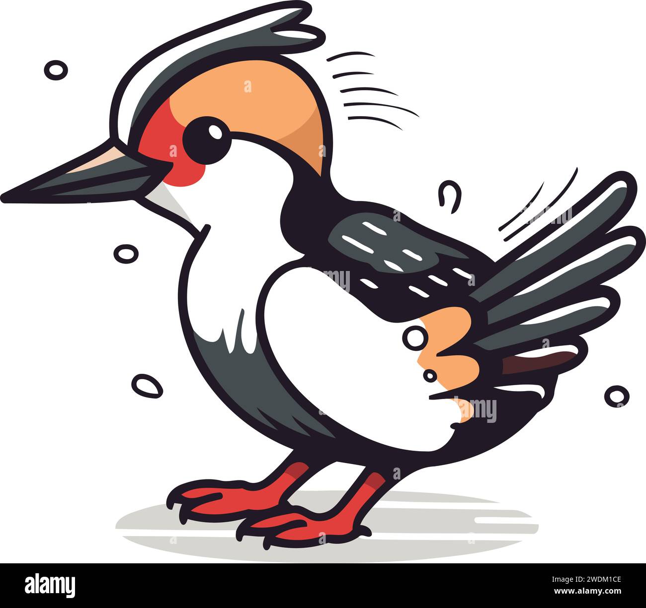 Pied cartoon hi-res stock photography and images - Alamy