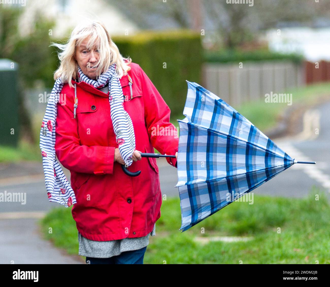 Sheing hi-res stock photography and images - Alamy