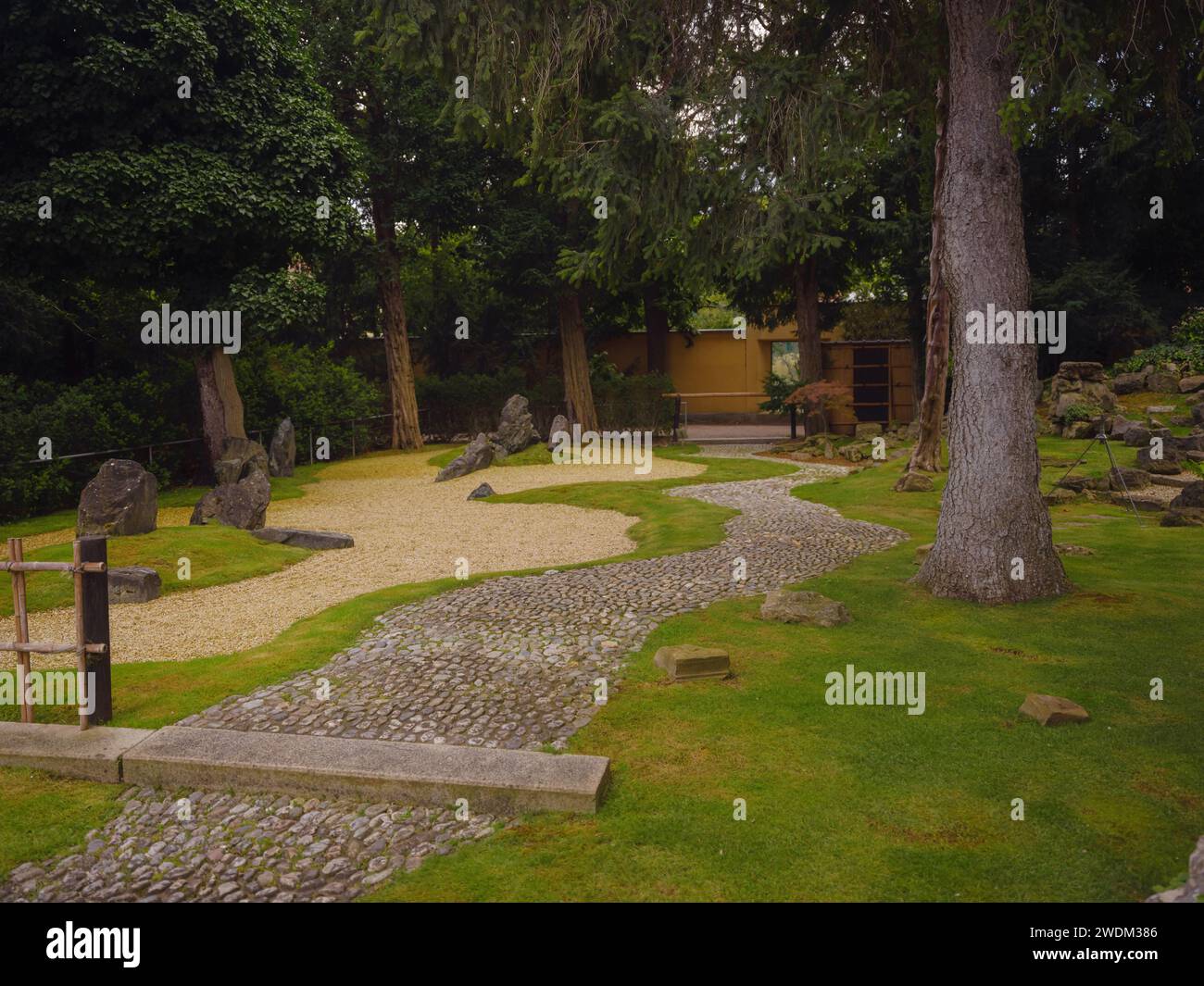 Japanese garden in Vienna (inside Botanical garden): Japanese maple ...
