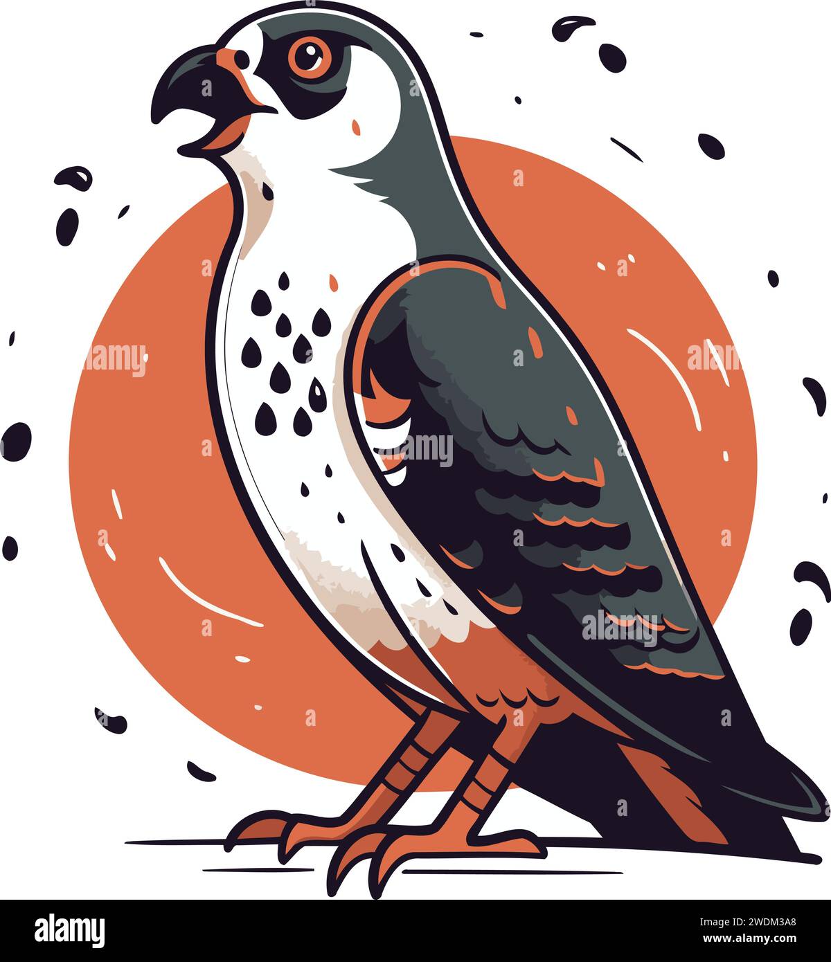 Cartoon falcon Cut Out Stock Images & Pictures - Alamy