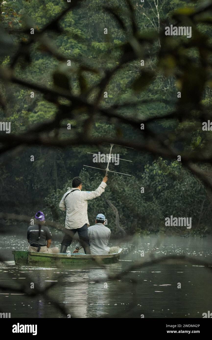 Amazonrescuecenter hi-res stock photography and images - Alamy