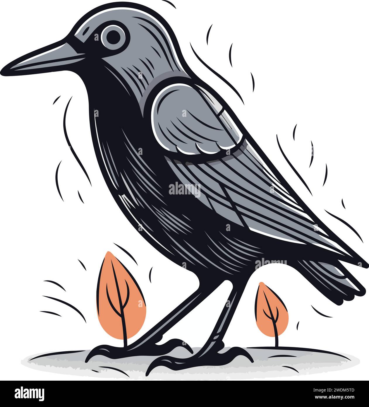 Jackdaw illustration hi-res stock photography and images - Alamy