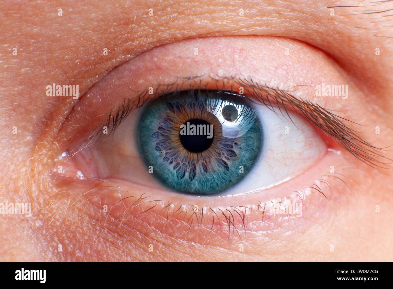 Macro image of human eye Stock Photo - Alamy