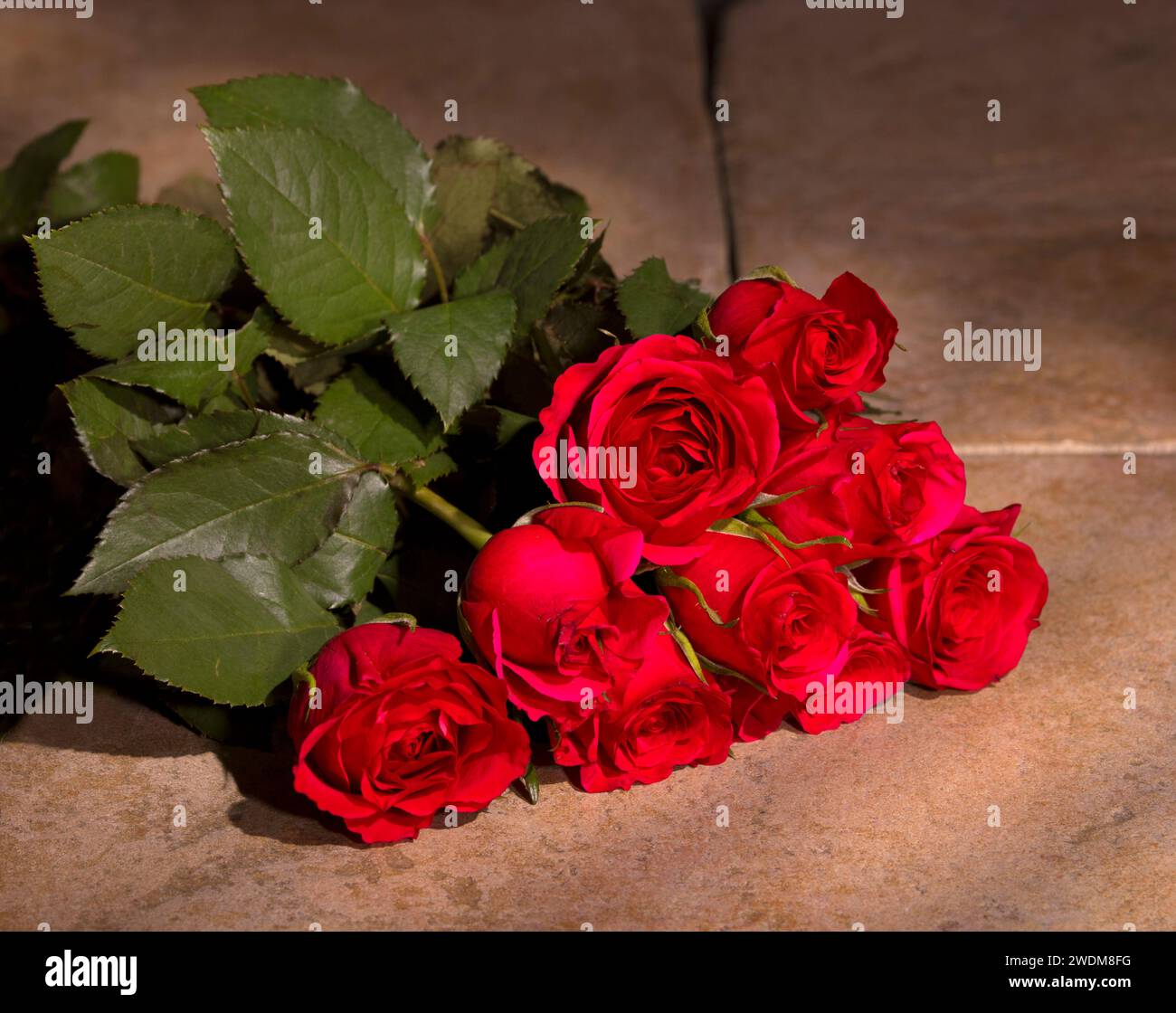 Bouquet bunch of red roses hi-res stock photography and images - Alamy